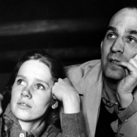 Arrancou segunda parte da grande retrospectiva de Ingmar Bergman ...